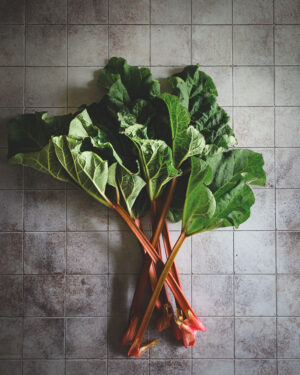 Capturing the Beauty of Rhubarb in Photography - Backgrounds by Barb
